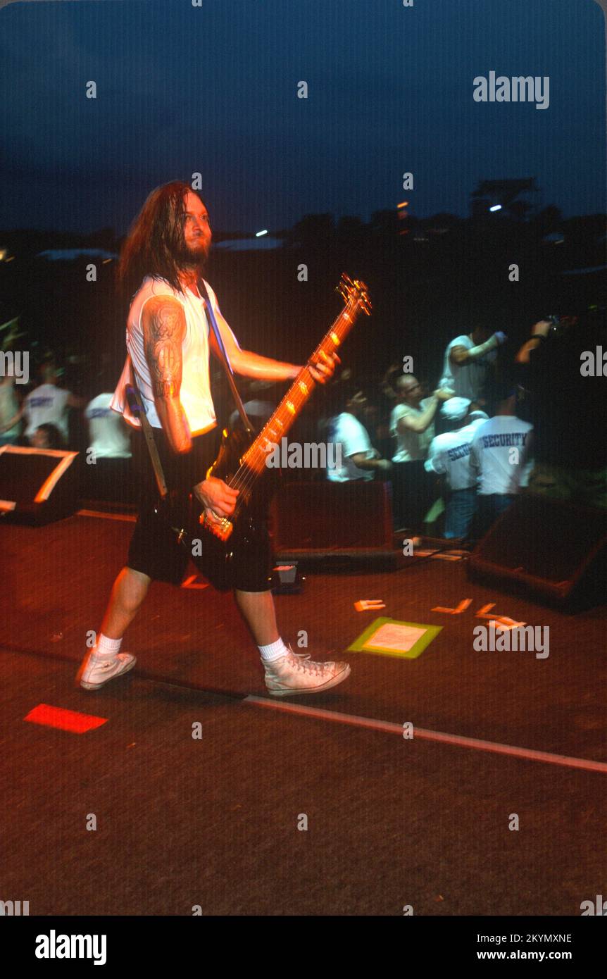 Rex brown pantera hi-res stock photography and images - Alamy