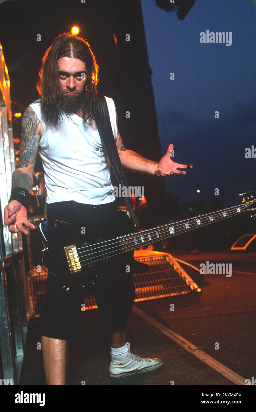Rex brown pantera hi-res stock photography and images - Alamy