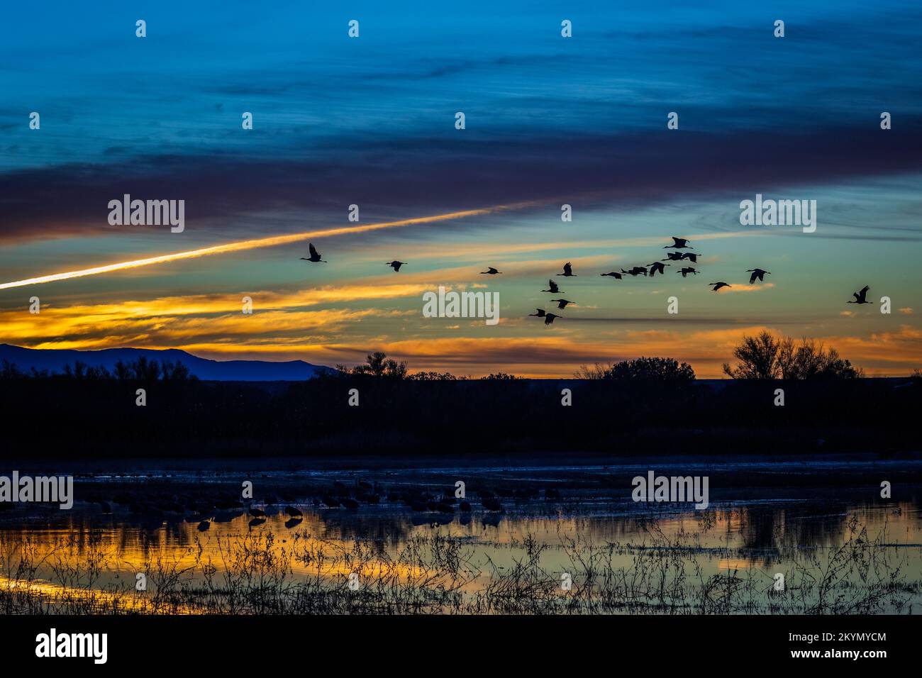 Flock of geese silhouette hi-res stock photography and images - Alamy