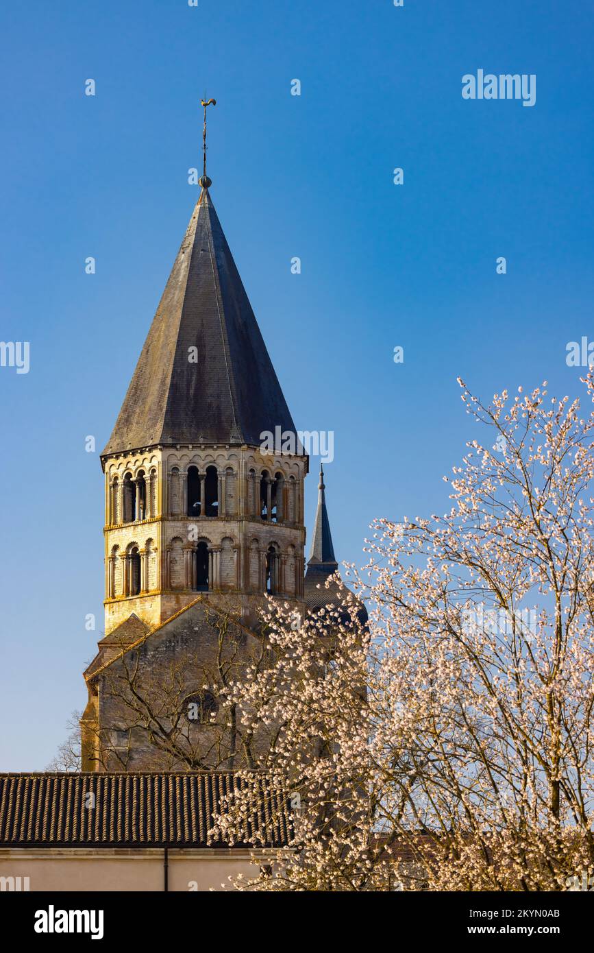 Abbey of cluny cathedral hi-res stock photography and images - Alamy
