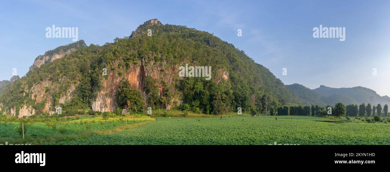 Beautiful karst hills scenery hi-res stock photography and images - Alamy