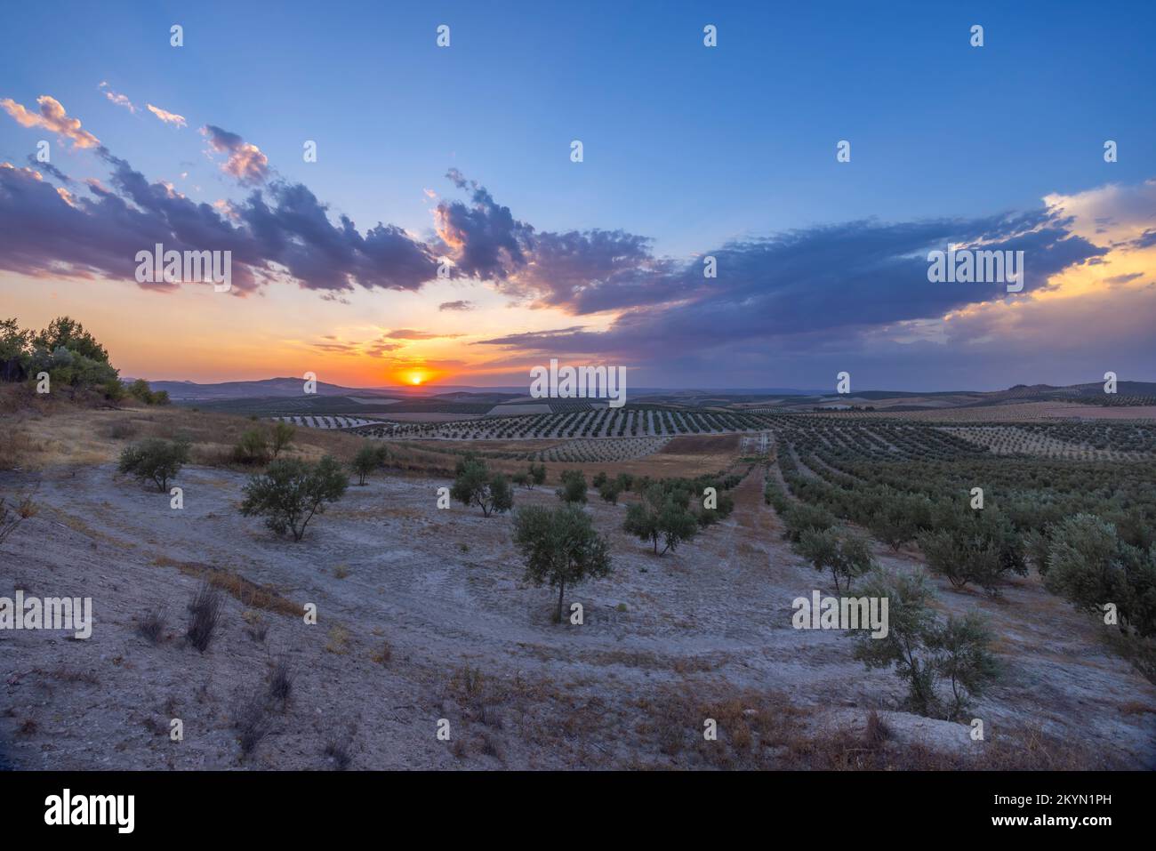 typical Andalusian landscape during sunset, Spain Stock Photo - Alamy
