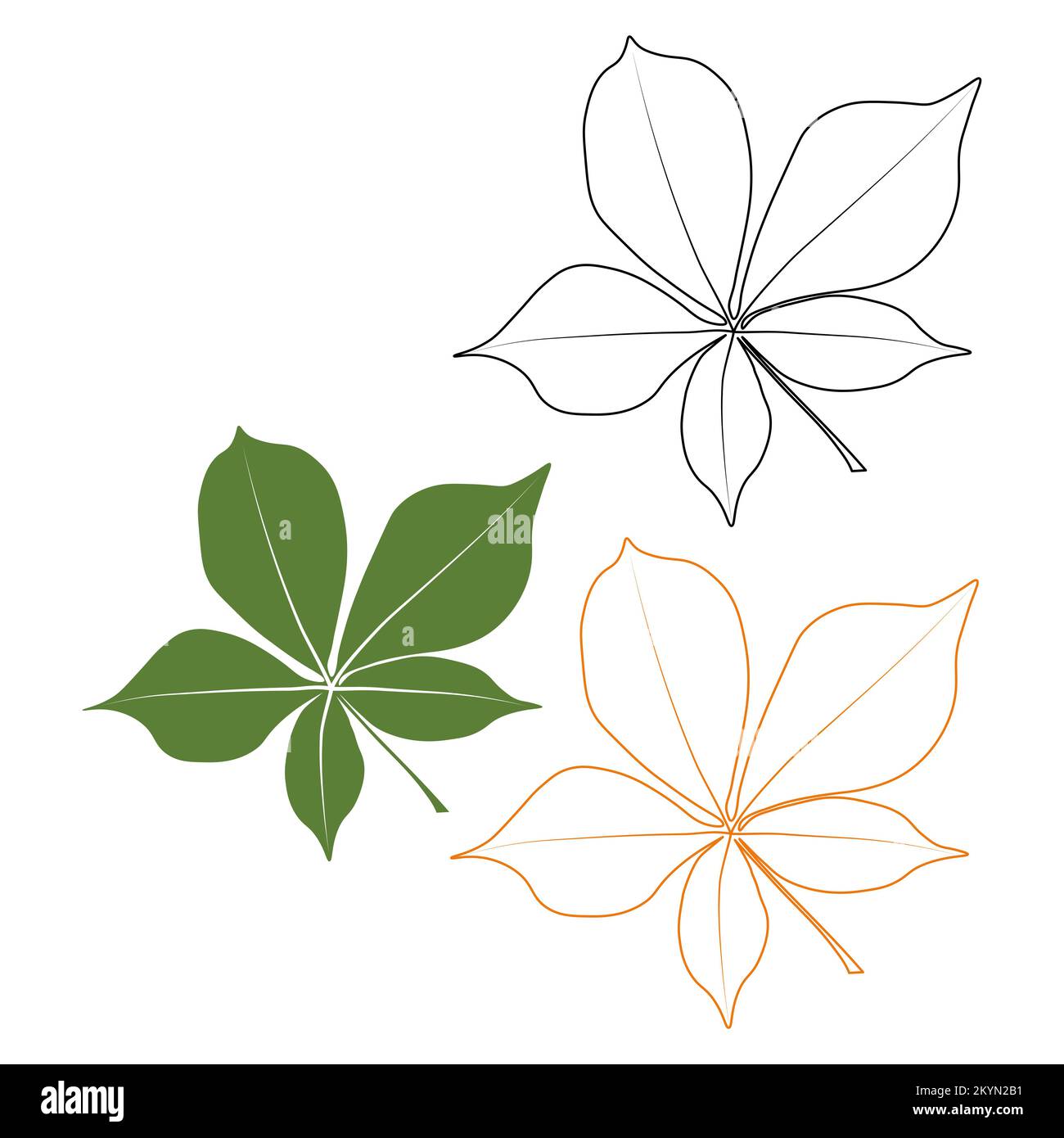 Set of vector chestnut leaf outline and coloured icon. Simple chestnut ...