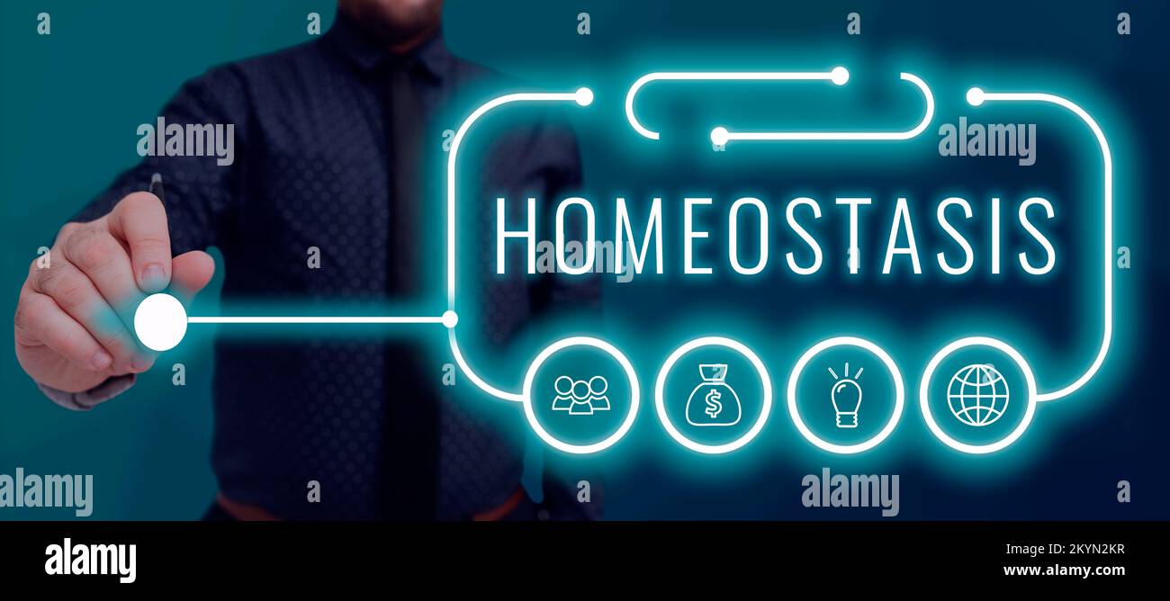 Conceptual display Homeostasis. Business showcase the tendency toward a ...