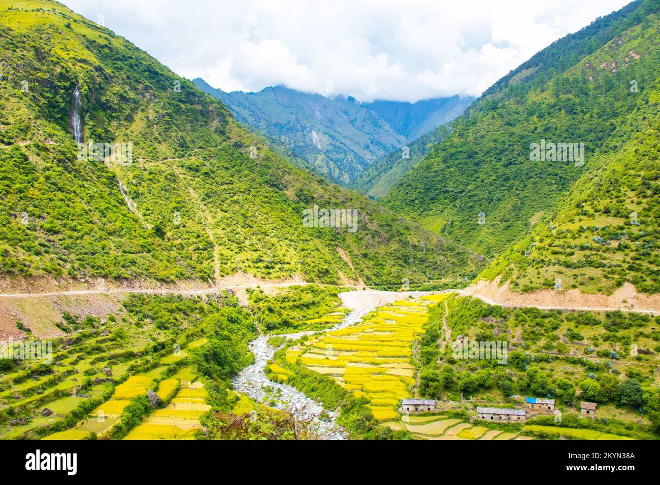 Rice Paddy Fields of Himalaya Nepal with Green Hill and Mountain Stock ...