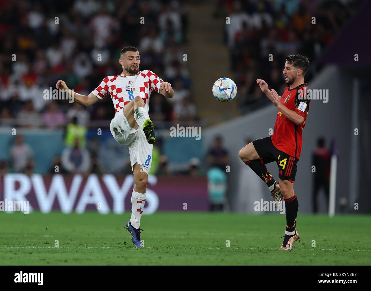 1st December 2022; Ahmed bin Ali Stadium, Al Rayyan, Qatar; FIFA World ...