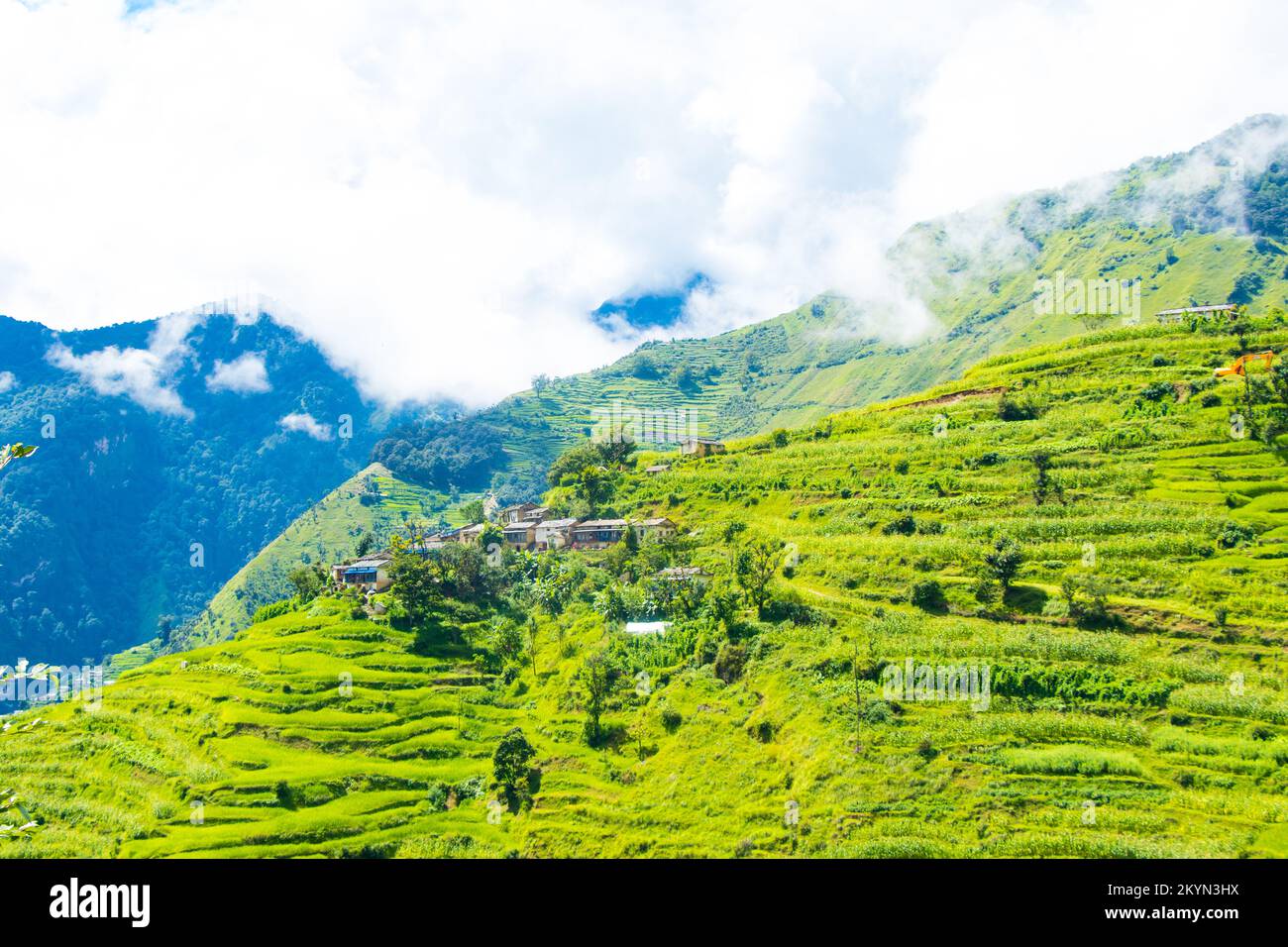 Village and Rice Paddy Fields of Bajura Nepal Himalayas Stock Photo - Alamy