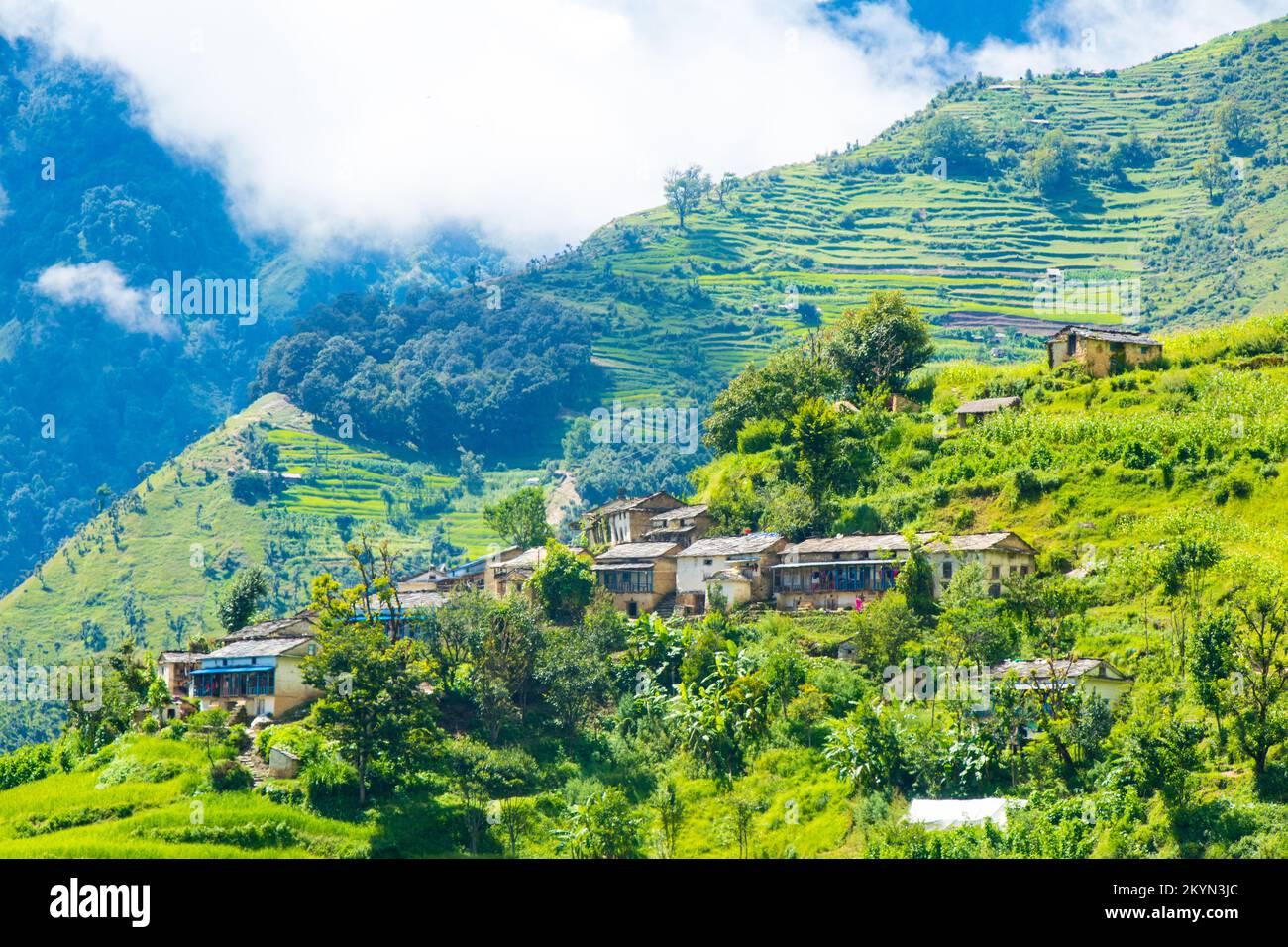 Village and Rice Paddy Fields of Bajura Nepal Himalayas Stock Photo - Alamy