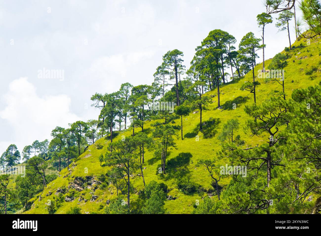 Beautiful tropical green jungle river hi-res stock photography and ...