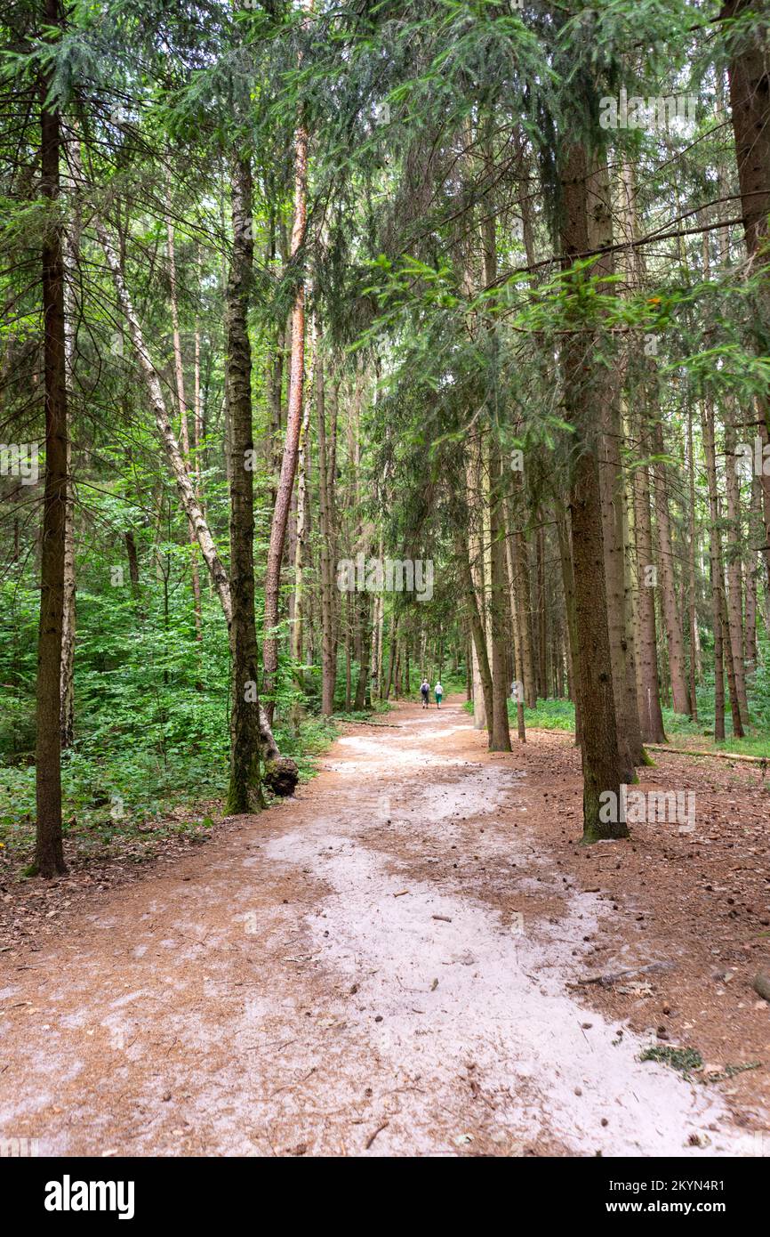 Saxon Switzerland Elbe sandstone mountains Stock Photo - Alamy