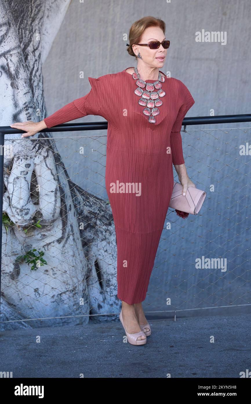 December 1, 2022: Paloma San Basilio attends delivery Gold Medals of ...