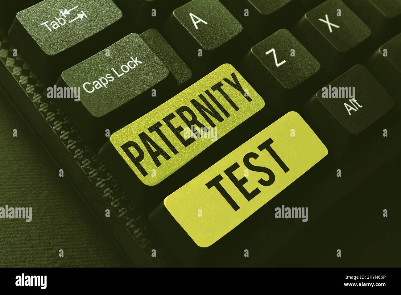 Conceptual caption Paternity Test. Concept meaning a test of DNA to ...