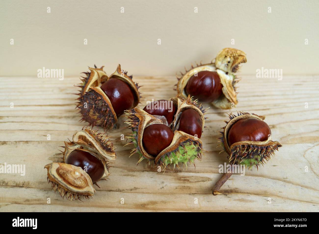 Chestnuts fruit with green peel on a wooden board, autumn chestnuts ...