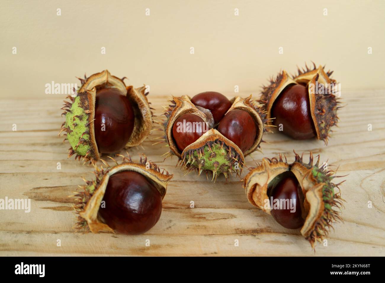 Chestnuts fruit with green peel on a wooden board, autumn chestnuts ...