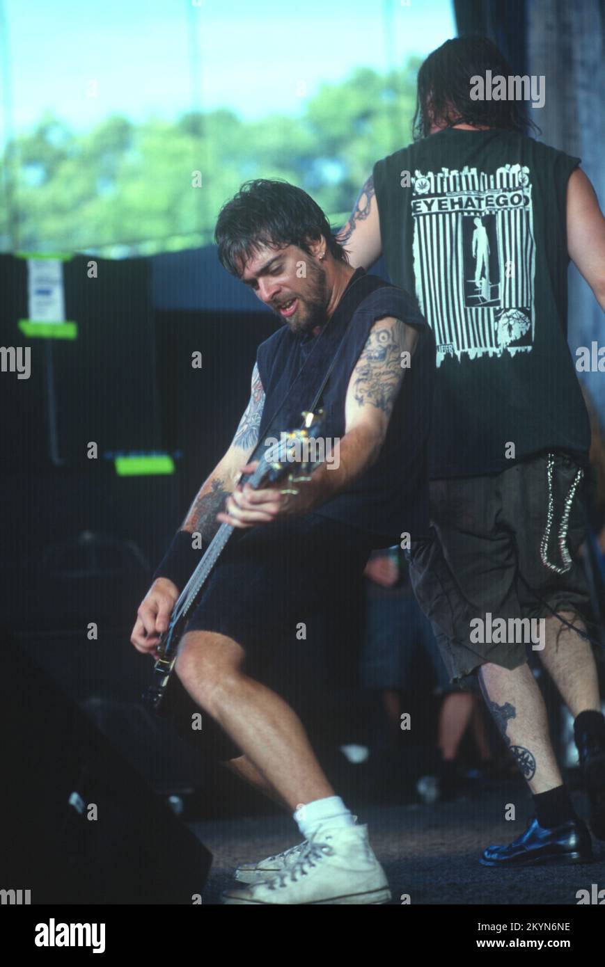 Rex brown pantera hi-res stock photography and images - Alamy