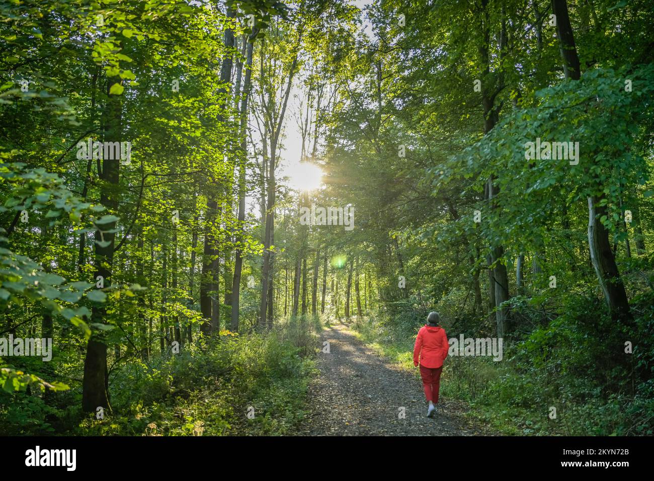 Bergland hi-res stock photography and images - Alamy