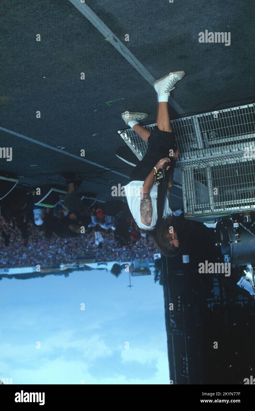 Rex brown pantera hi-res stock photography and images - Alamy