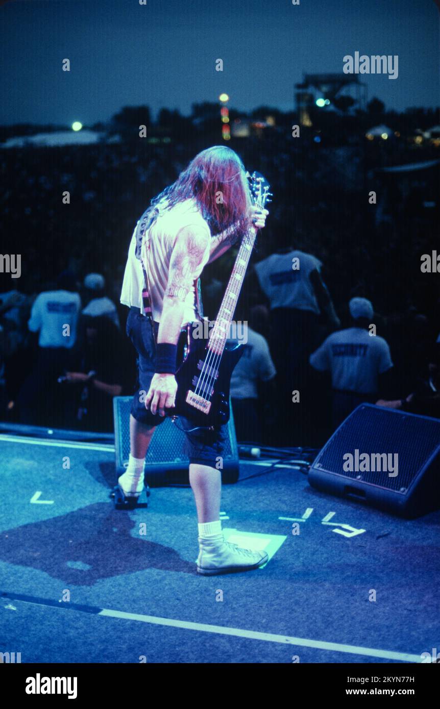 Rex brown pantera hi-res stock photography and images - Alamy