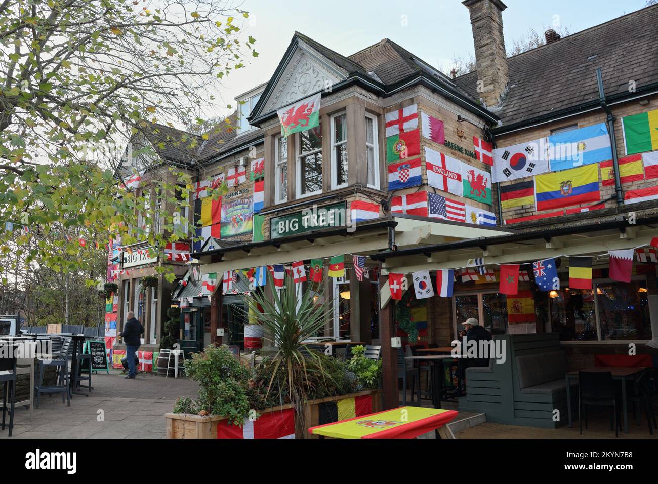 The Big Tree public house on Chesterfield road in Sheffield England UK ...