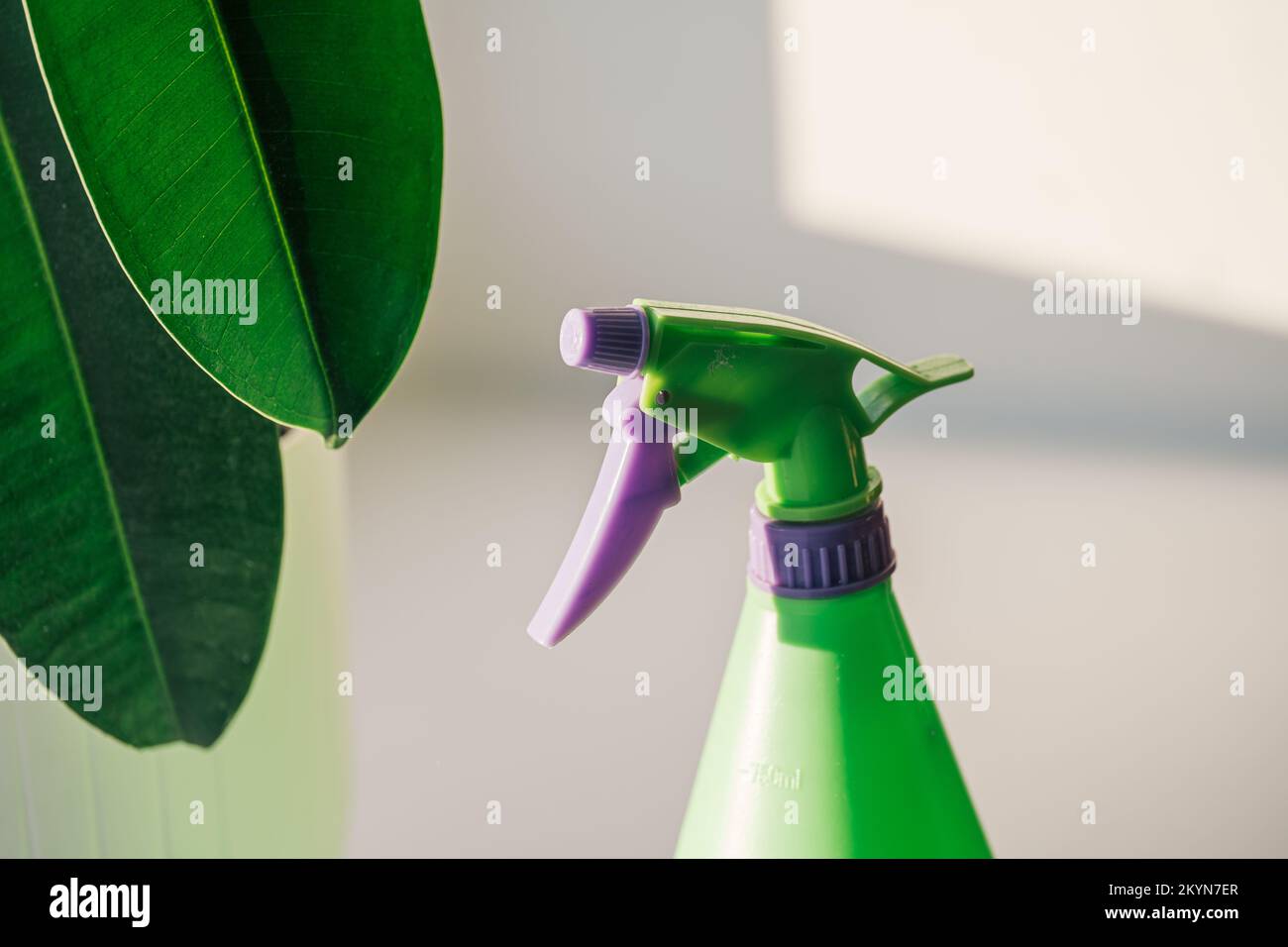 Spray of green leaves texture hi-res stock photography and images - Alamy