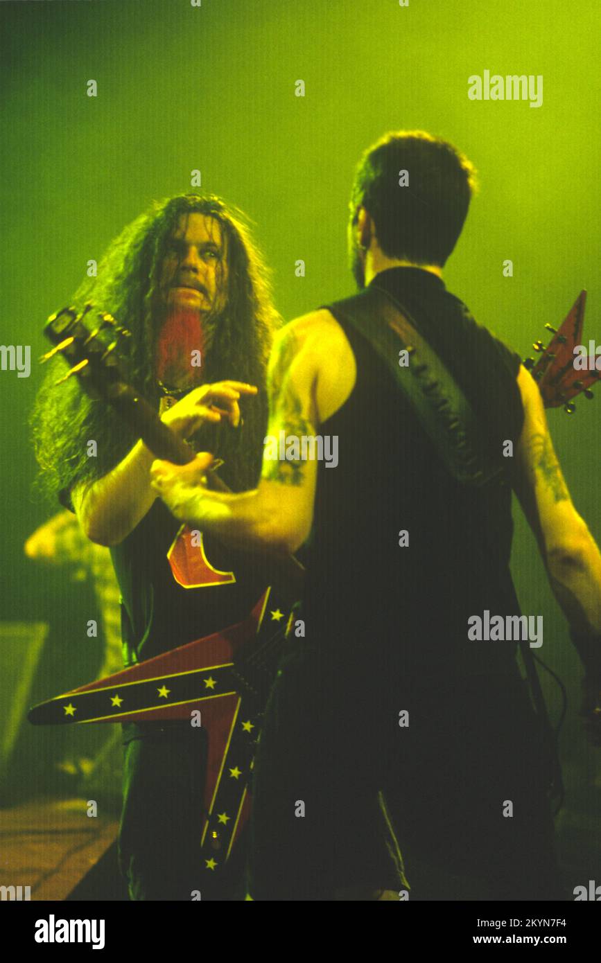 Rex brown pantera hi-res stock photography and images - Alamy
