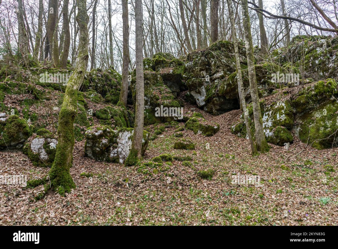 Karst landform hi-res stock photography and images - Alamy