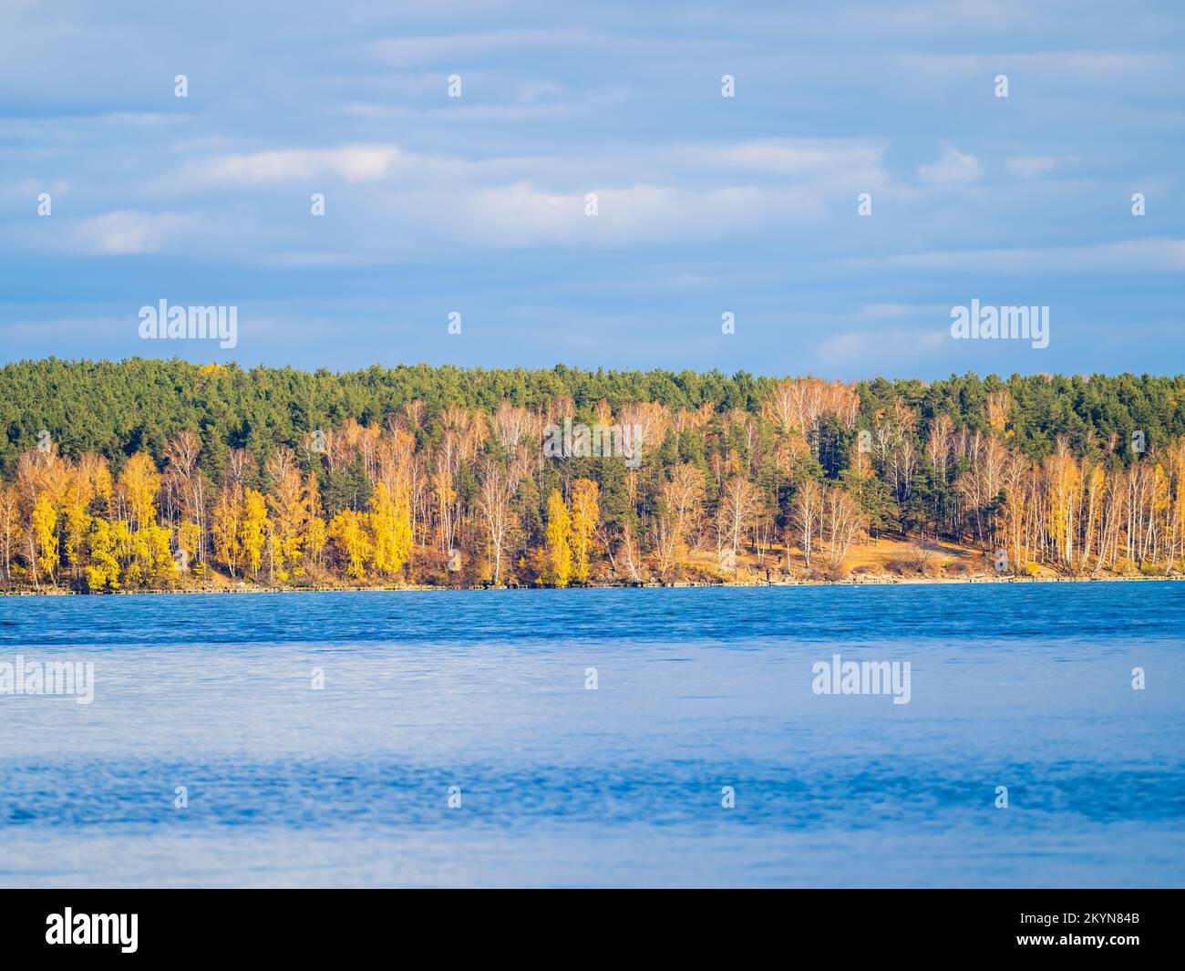 Autumn lake with yellow trees on the shores. Reflection of blue sky ...