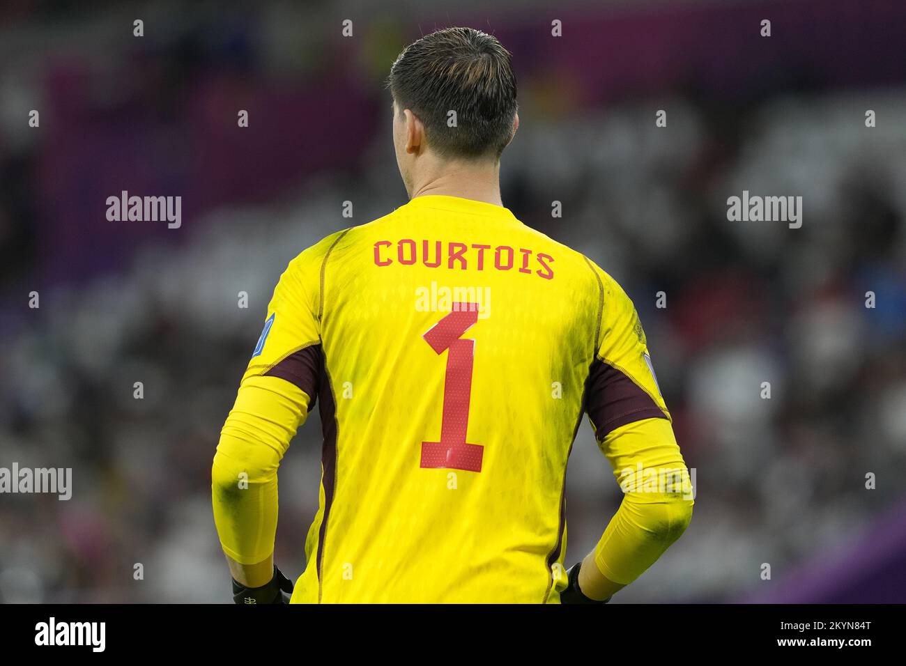 DOHA, 01-12-2022, Ahmad Bin Ali Stadium, World Cup 2022 in Qatar game ...