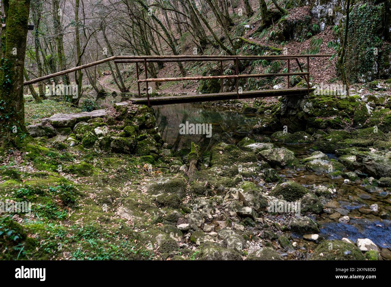Little bridge over little stream Stock Photo - Alamy