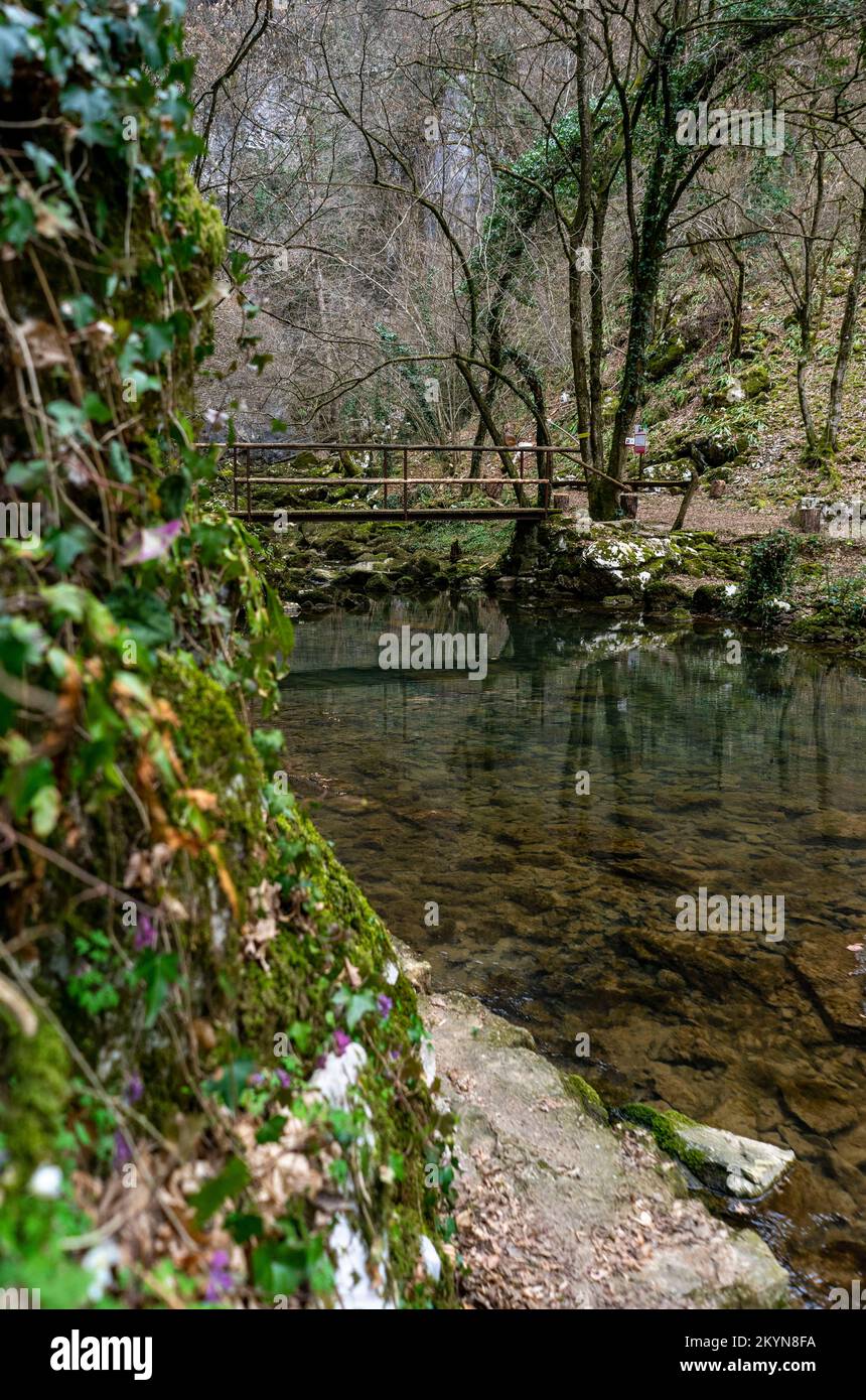 Little bridge over little stream Stock Photo - Alamy
