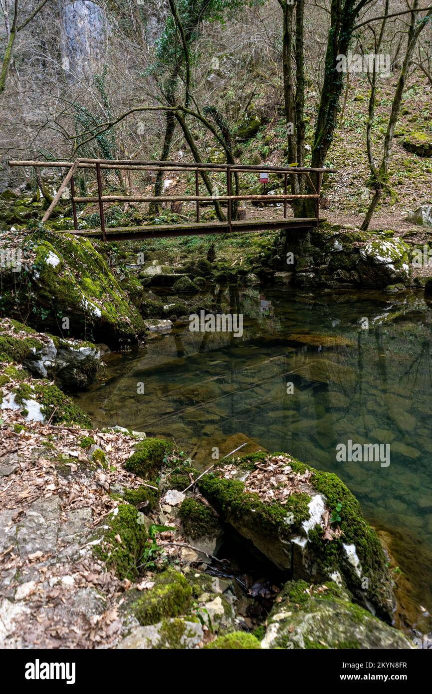 Little bridge over little stream Stock Photo - Alamy