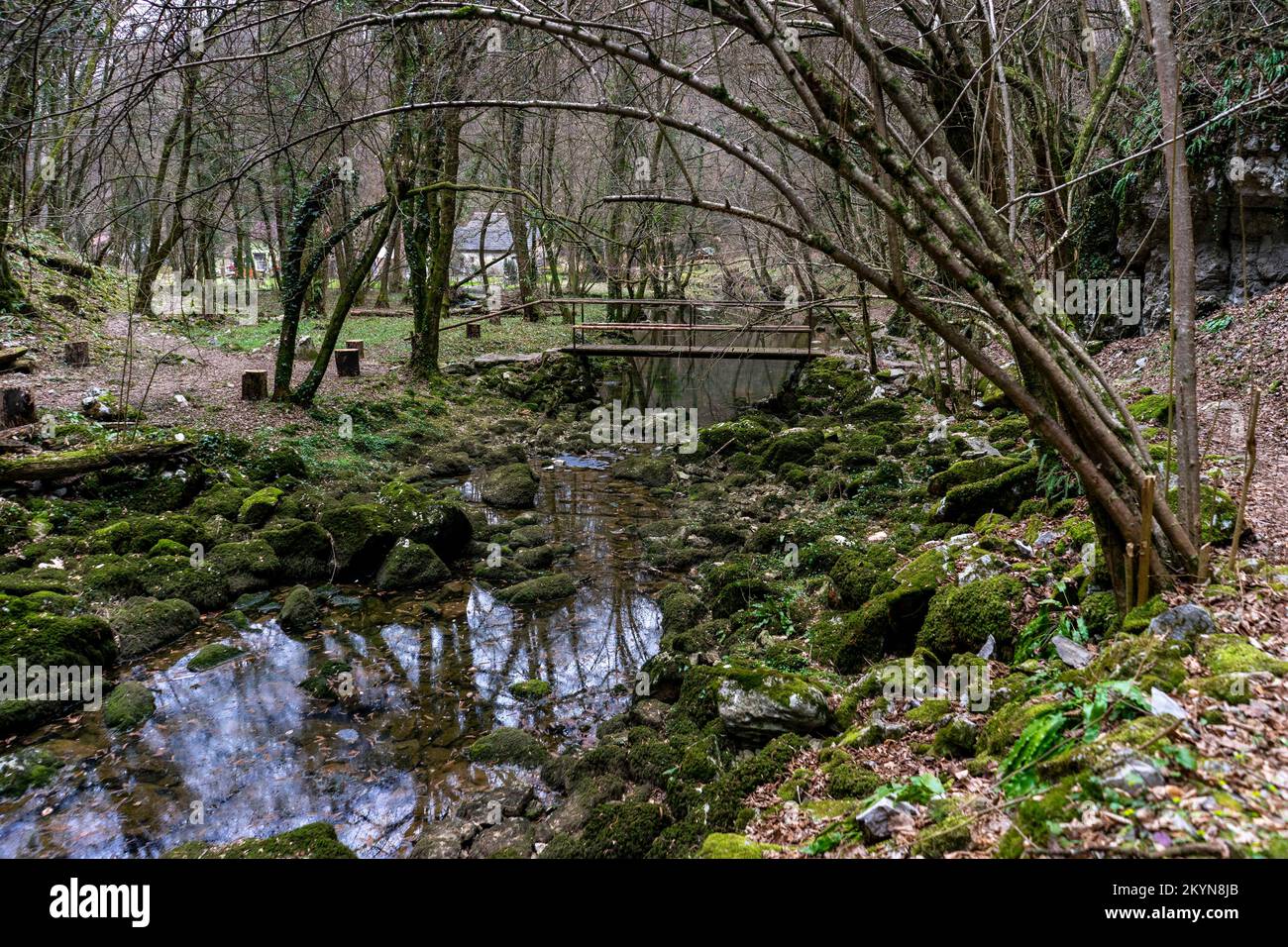 Little bridge over little stream Stock Photo - Alamy