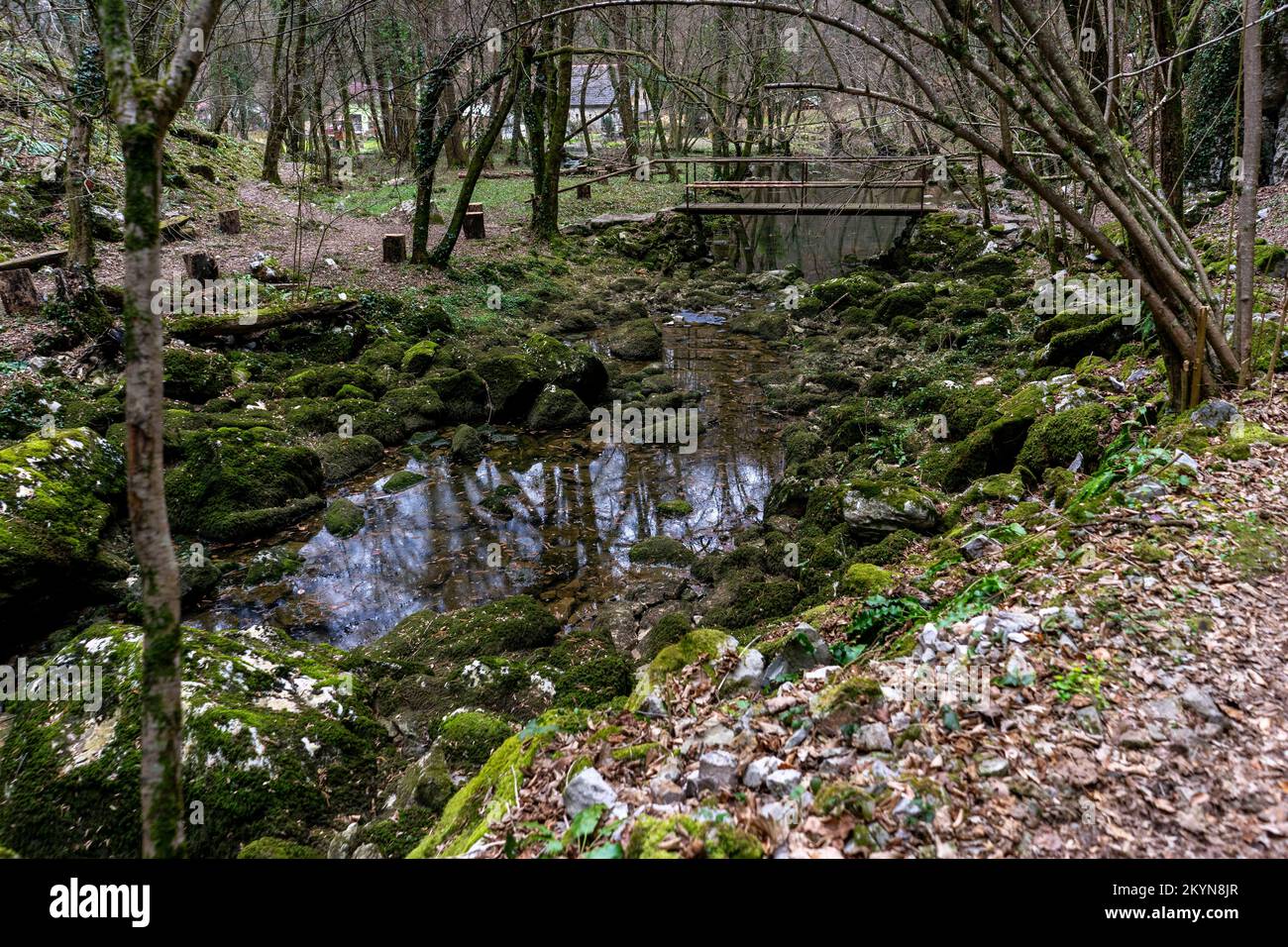 Little bridge over little stream Stock Photo - Alamy