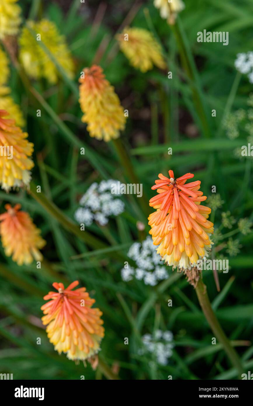 Beauty is in everything hi-res stock photography and images - Alamy