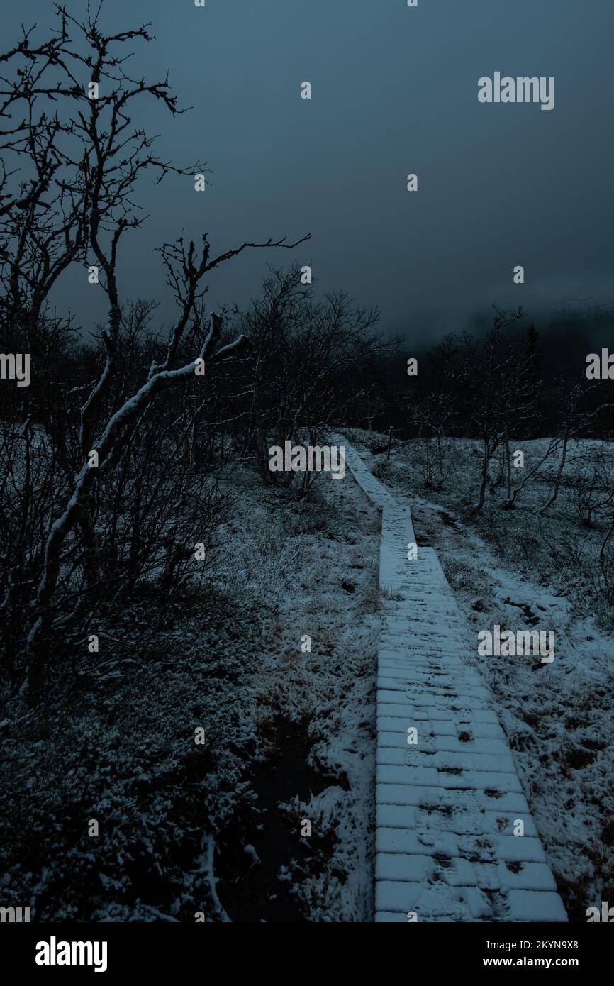 Sad moody landscape hi-res stock photography and images - Alamy