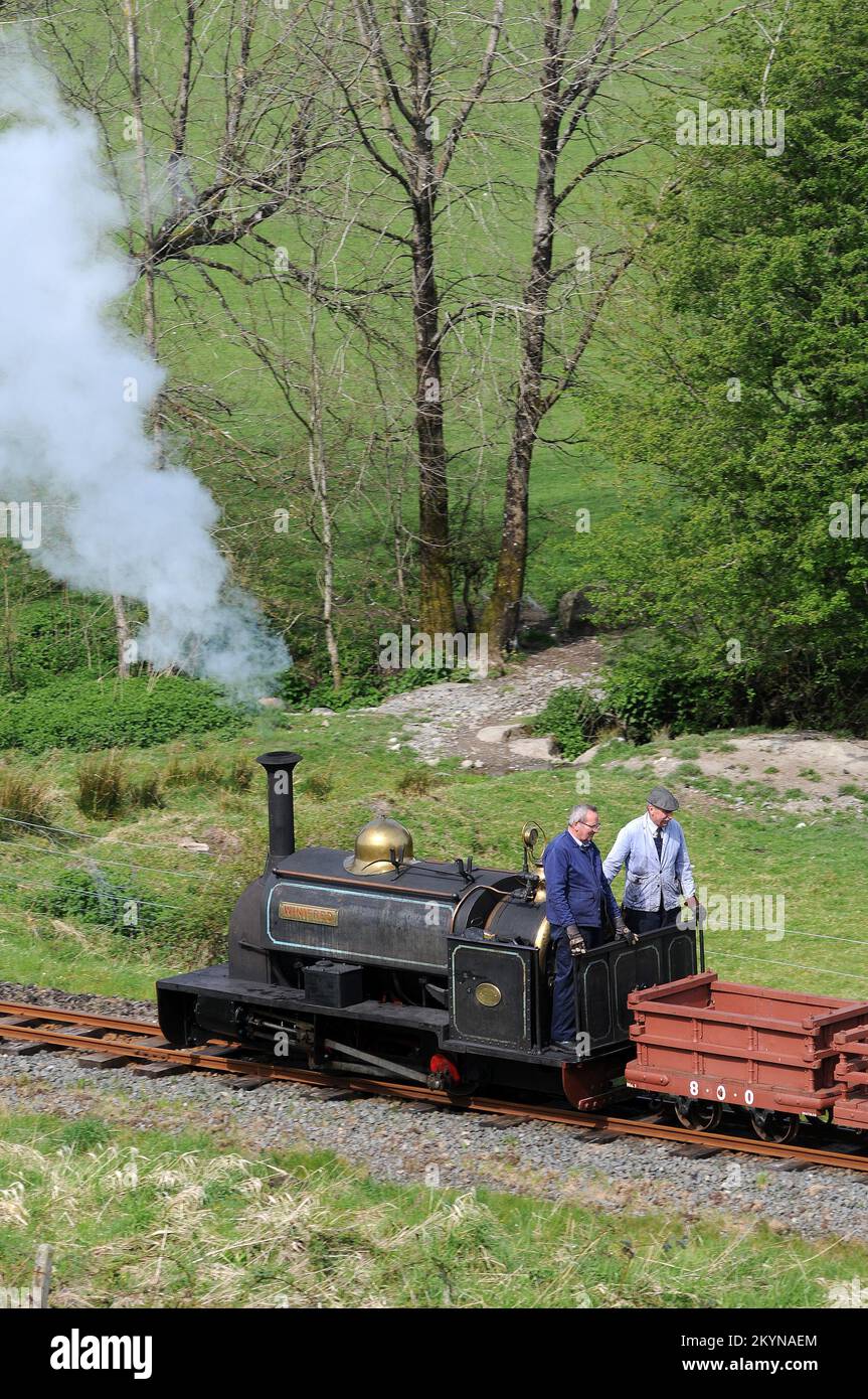 "Winifred" near Dolfawr with a train of slate wagons Stock Photo - Alamy