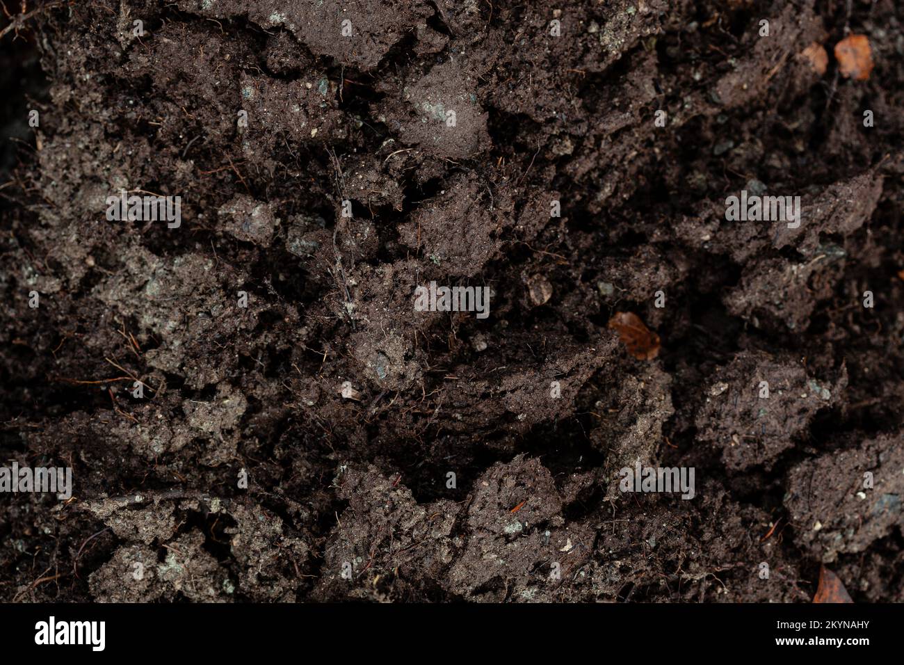 dark muddy soil background, dirty ground and autumn leaves Stock Photo ...