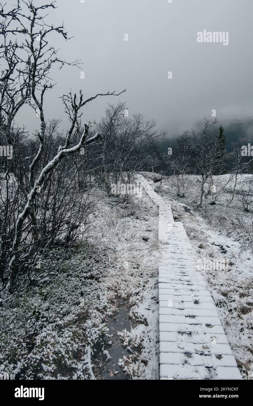 dark moody foggy landscape, path in Norwegian mountain to the top of ...