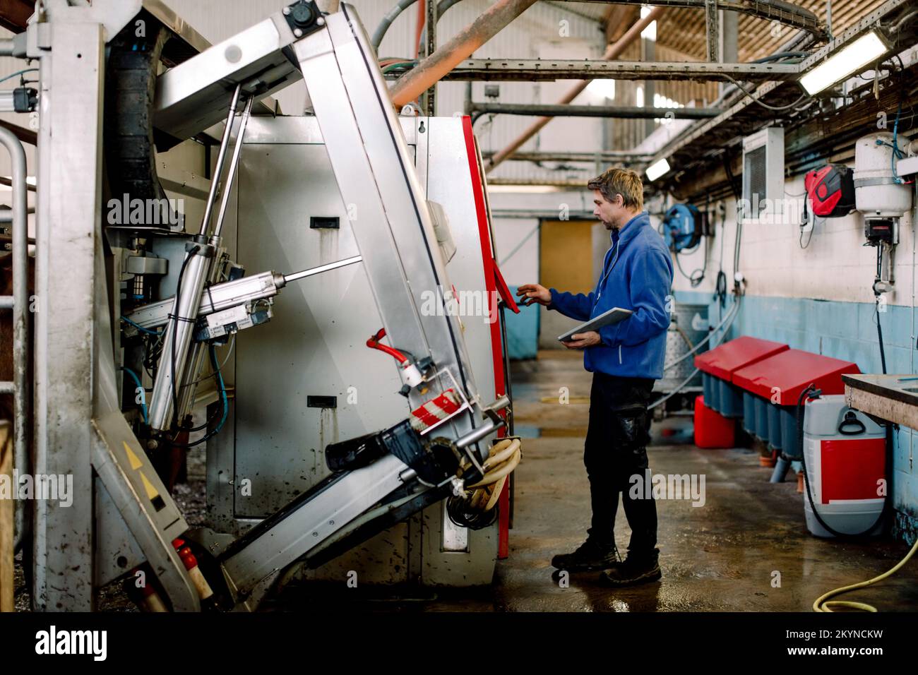 Farmer with tablet PC operating machine at cattle farm Stock Photo - Alamy