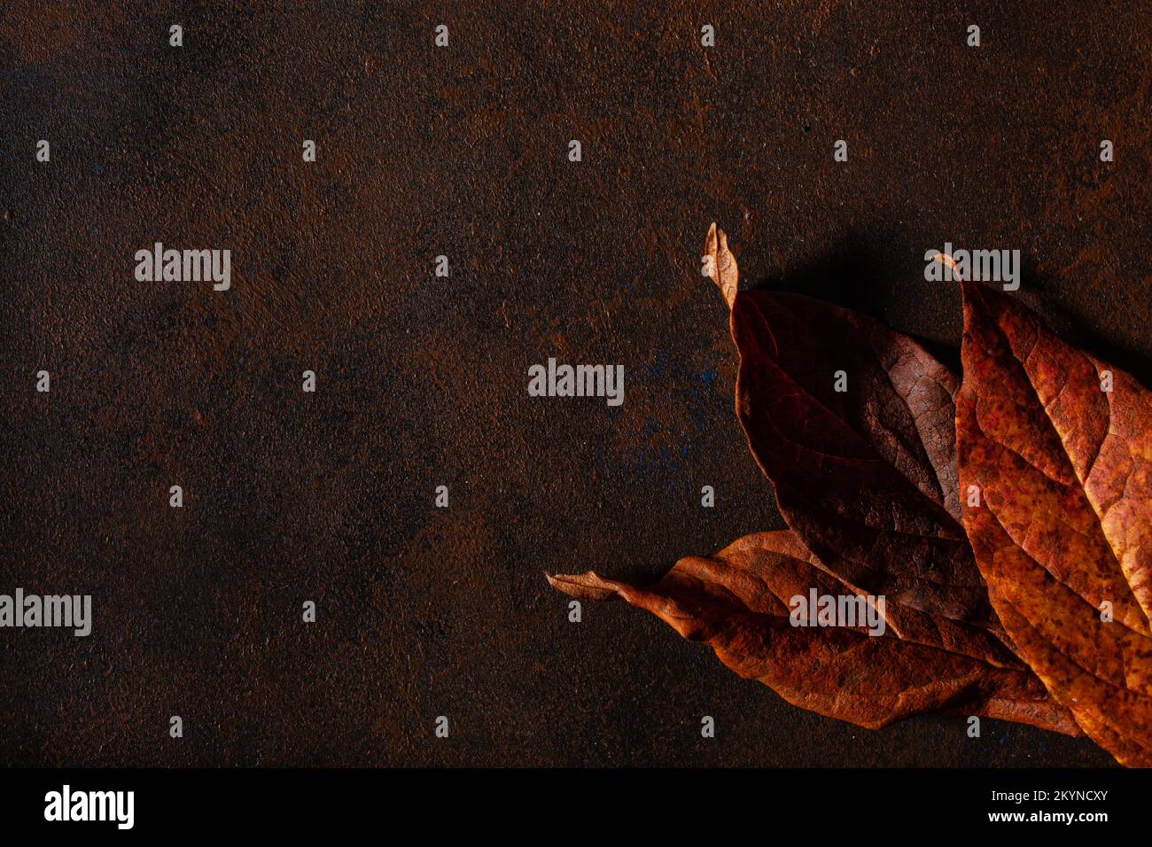 Autumn backdrop background leaf dry hi-res stock photography and images ...