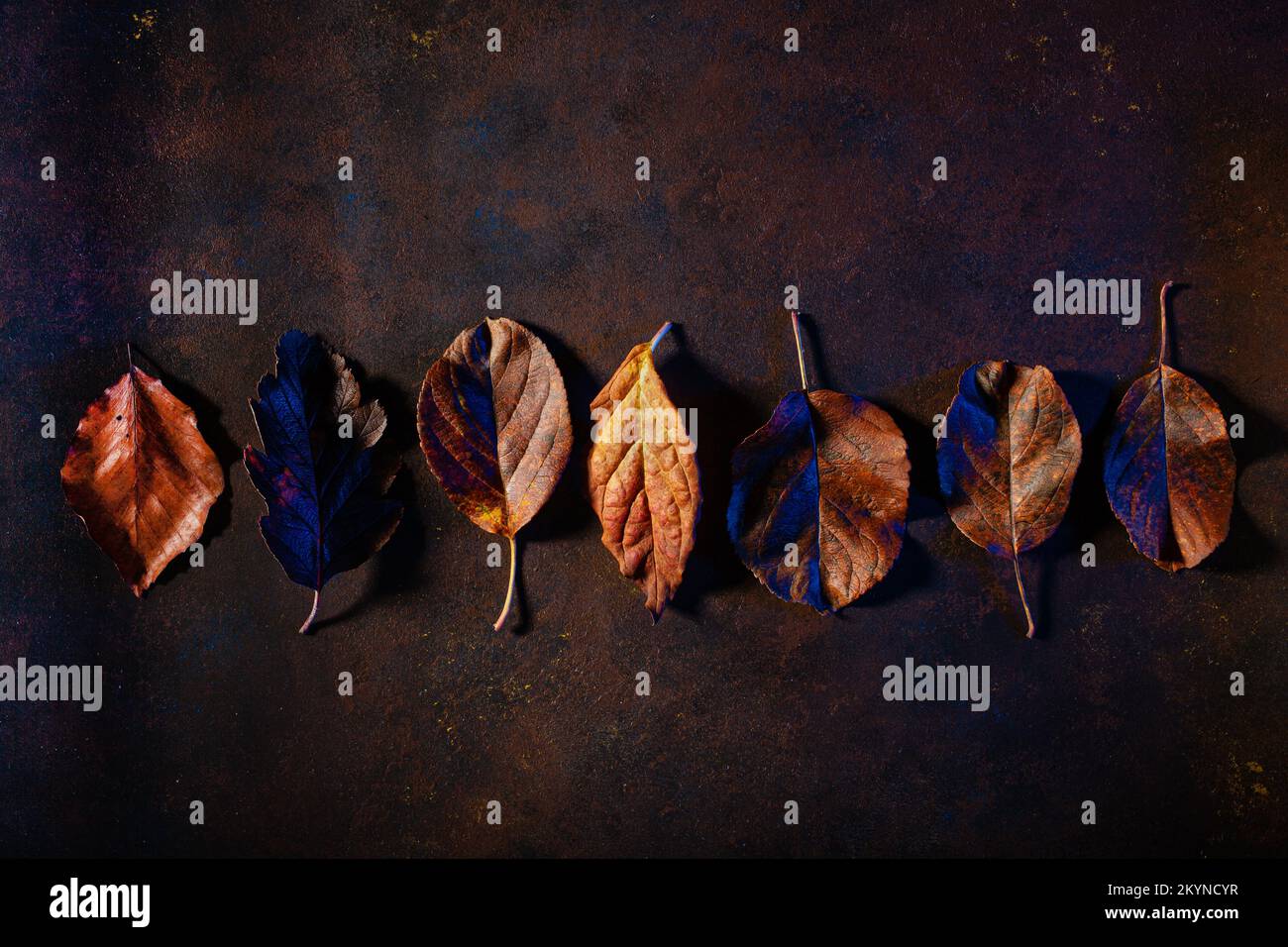 dark moody faded brown and blue autumn leaf background, fall decay ...