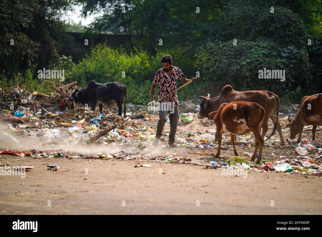 December, 2022, Raipur, India: Man sweeping the trash with broom and ...