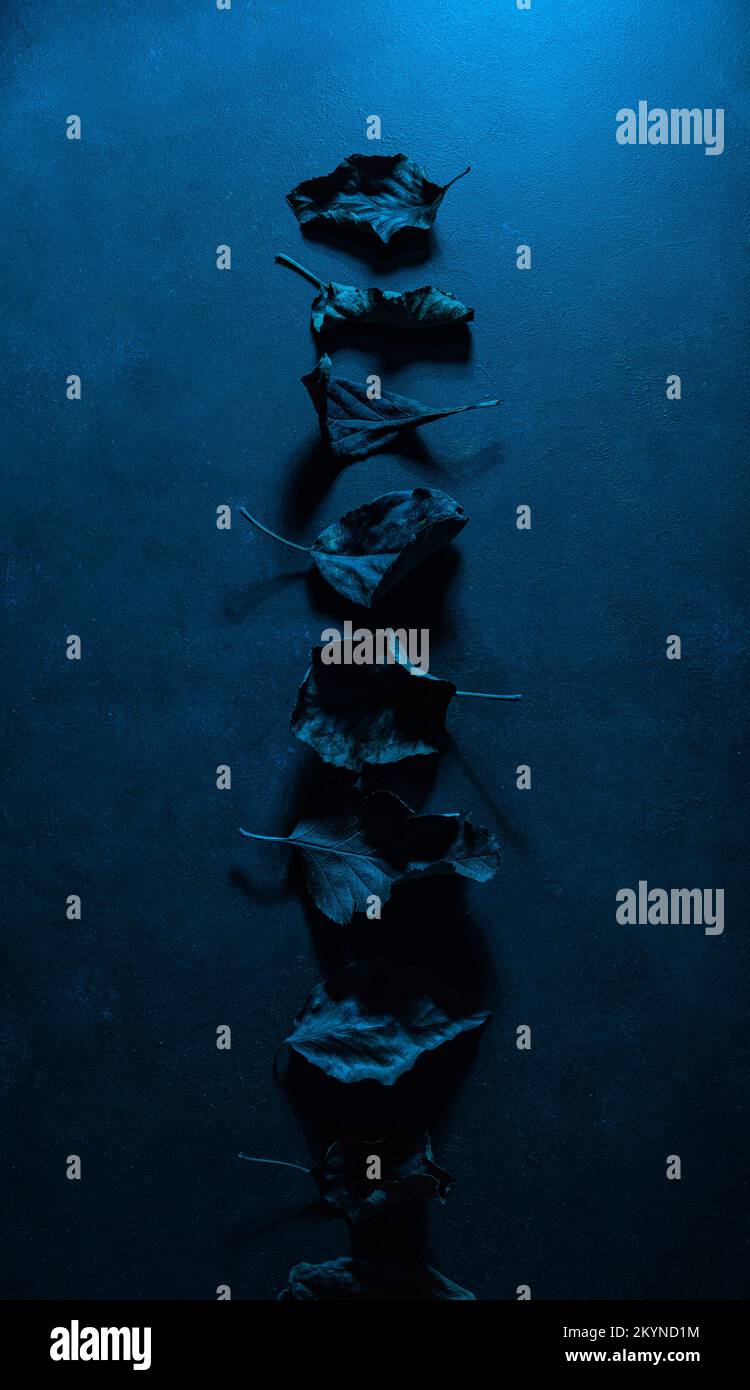 dark moody faded blue autumn leaf background, fall decay Stock Photo ...