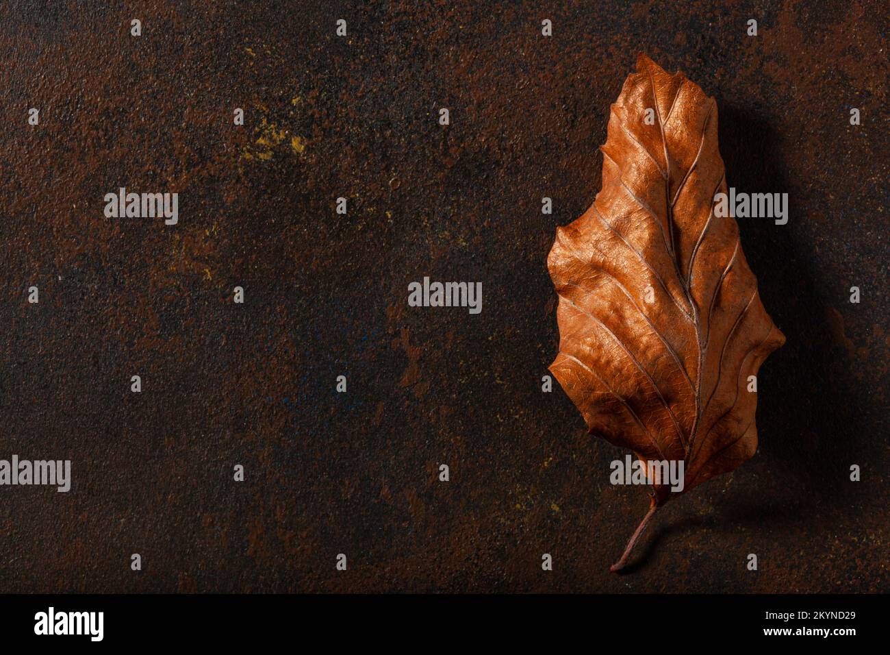 dark moody faded brown autumn leaf background, fall decay Stock Photo ...