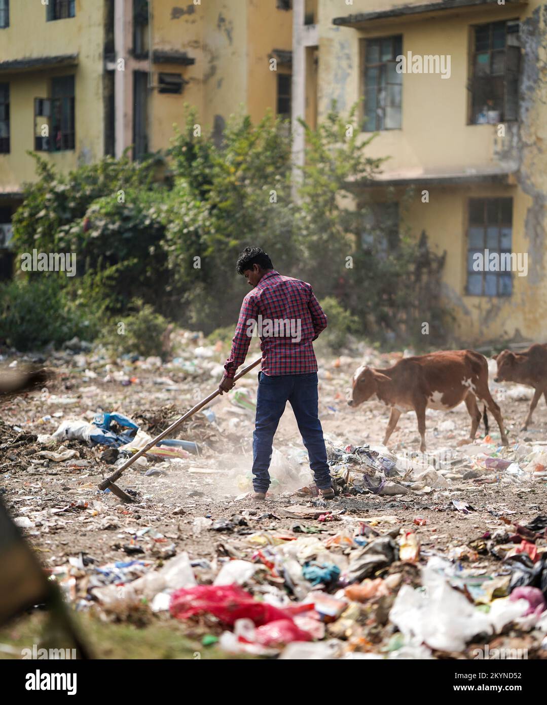 Man sweeping the trash with broom and polyhthene big garbage area, Man ...