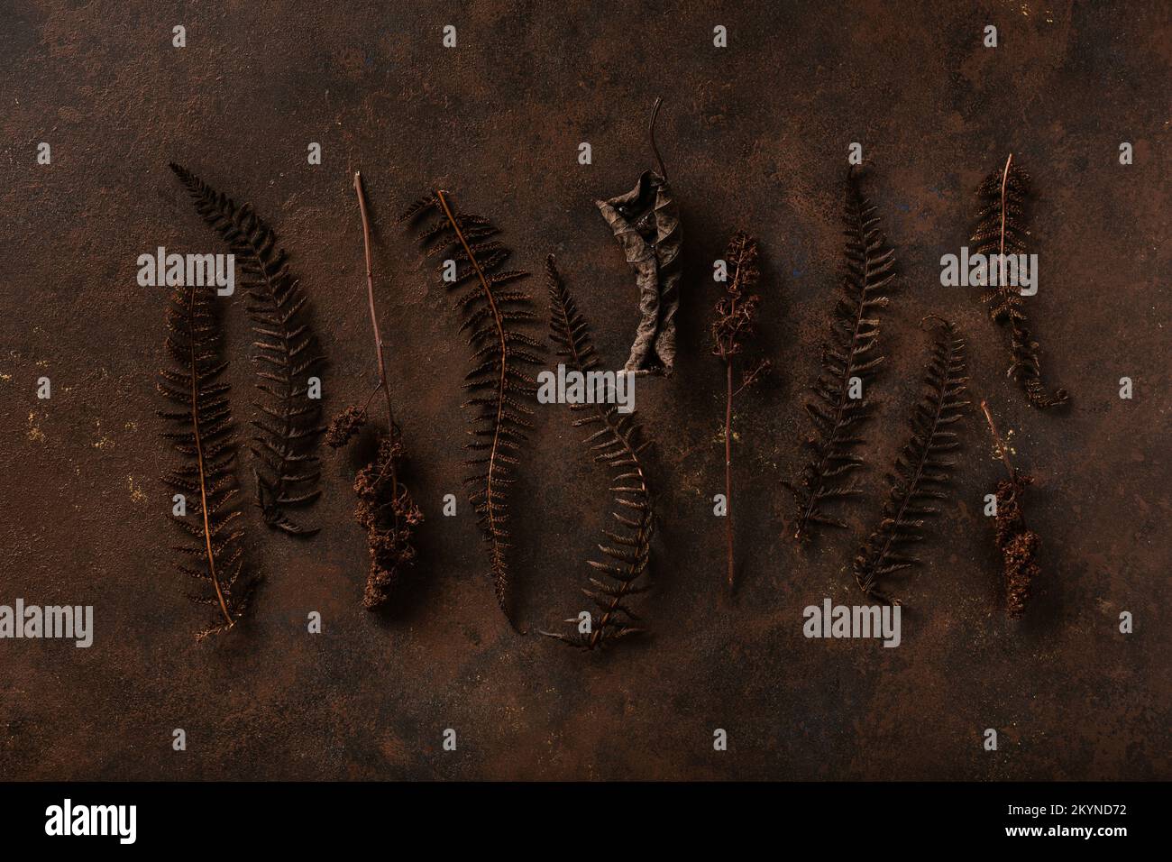 dark moody faded autumn leaf background, brown fall plants decay Stock ...