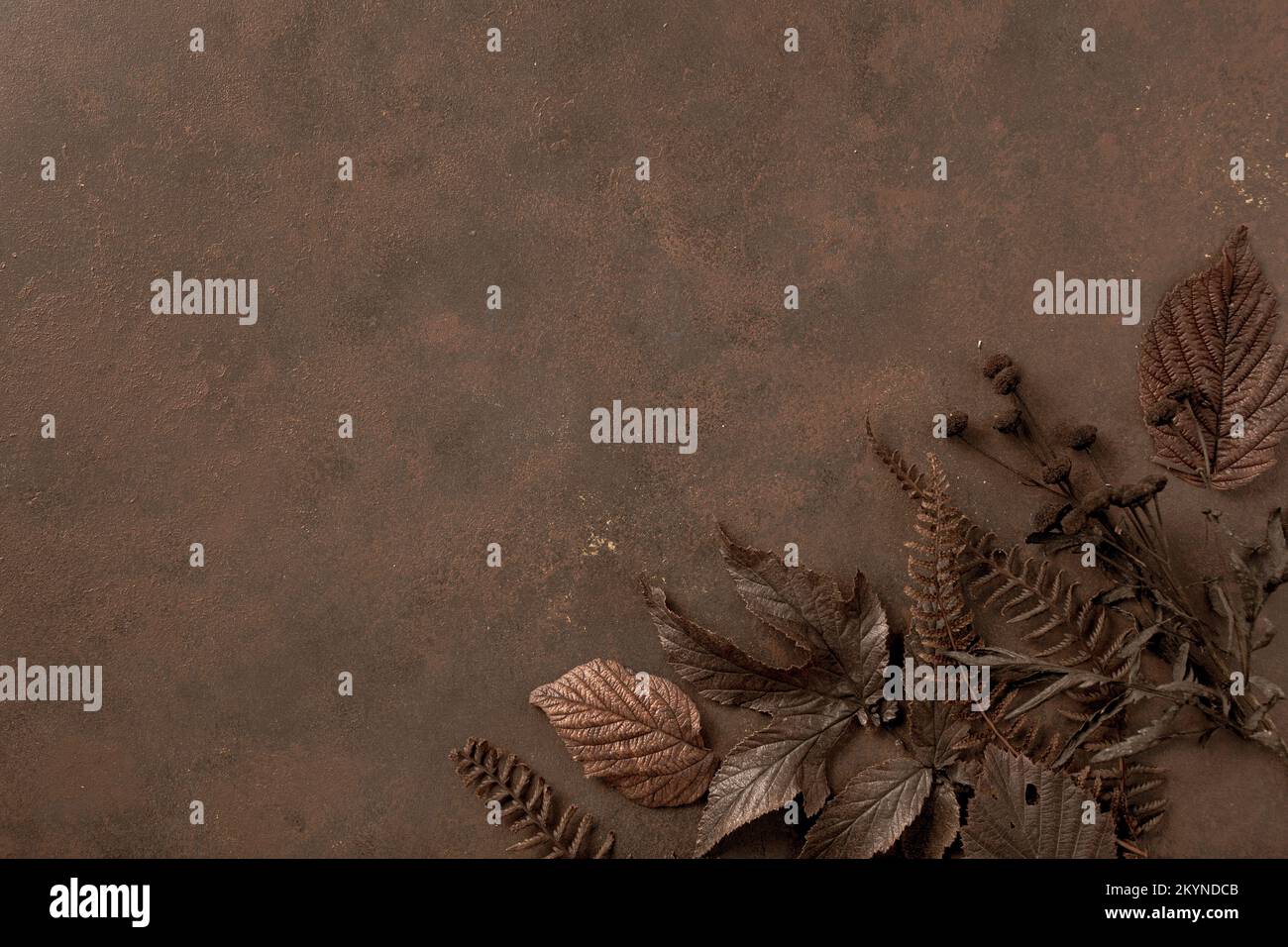 Matt leaf hi-res stock photography and images - Alamy