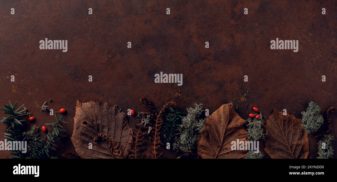 dark moody faded autumn leaf and moss background, brown fall plants ...