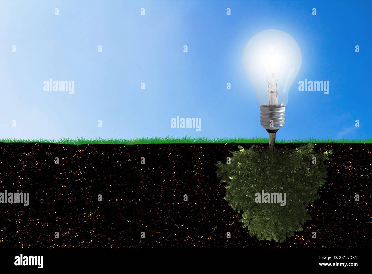 Conservative consumption hi-res stock photography and images - Alamy