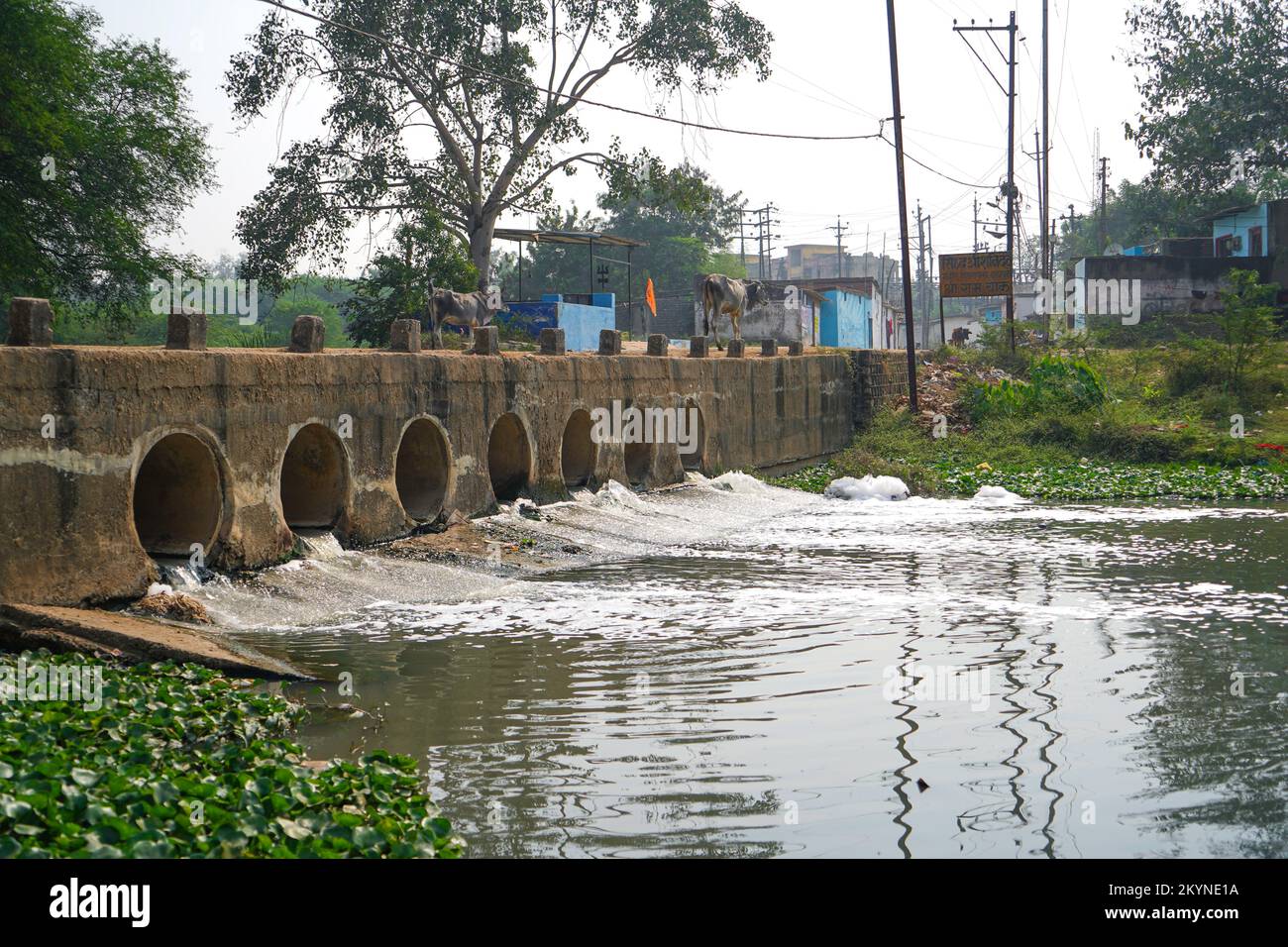 Pollution control day, polluted sewage water coming through cemented ...